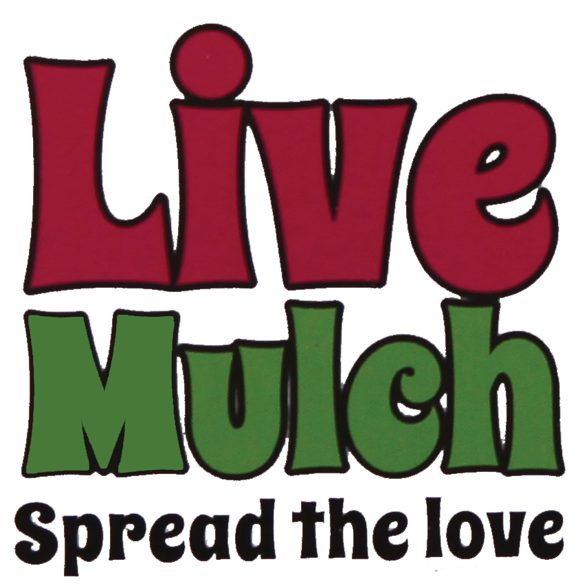 Live Mulch Hot Dots (Calendula) – EnrootProducts